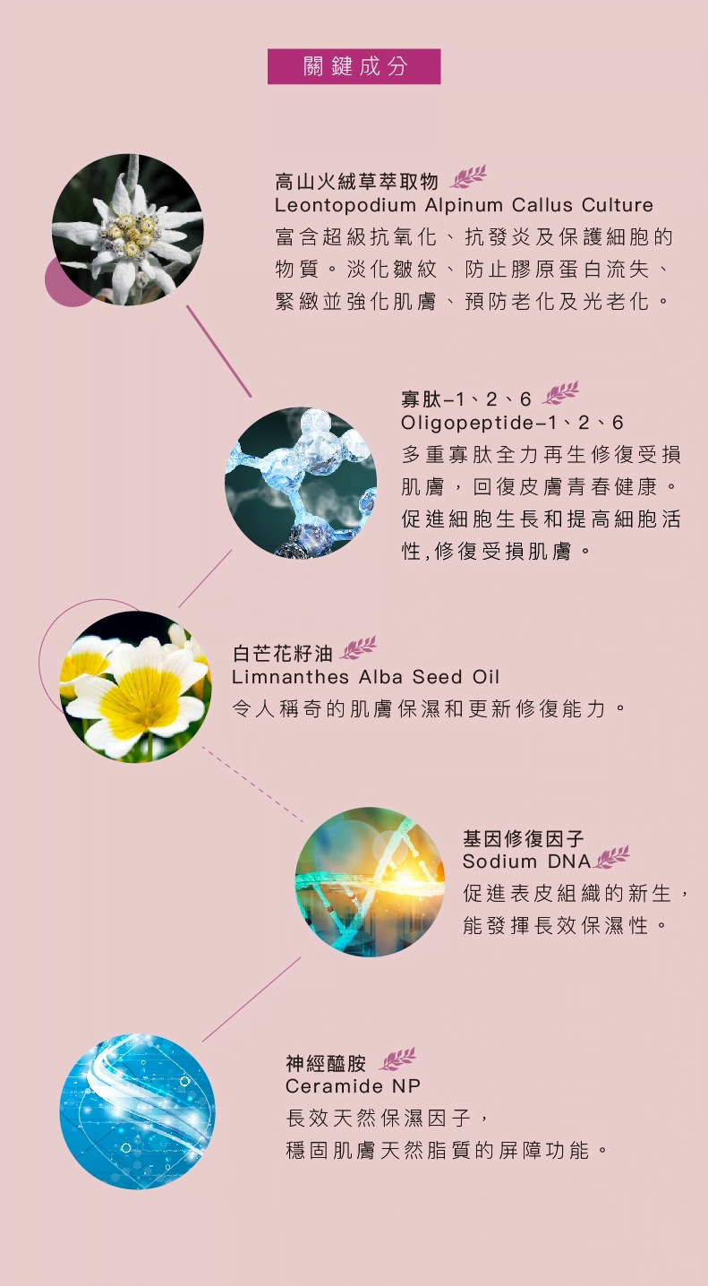 韓國sMTS青春動能保濕晚霜 50ml - MsSakura 專注品質生活