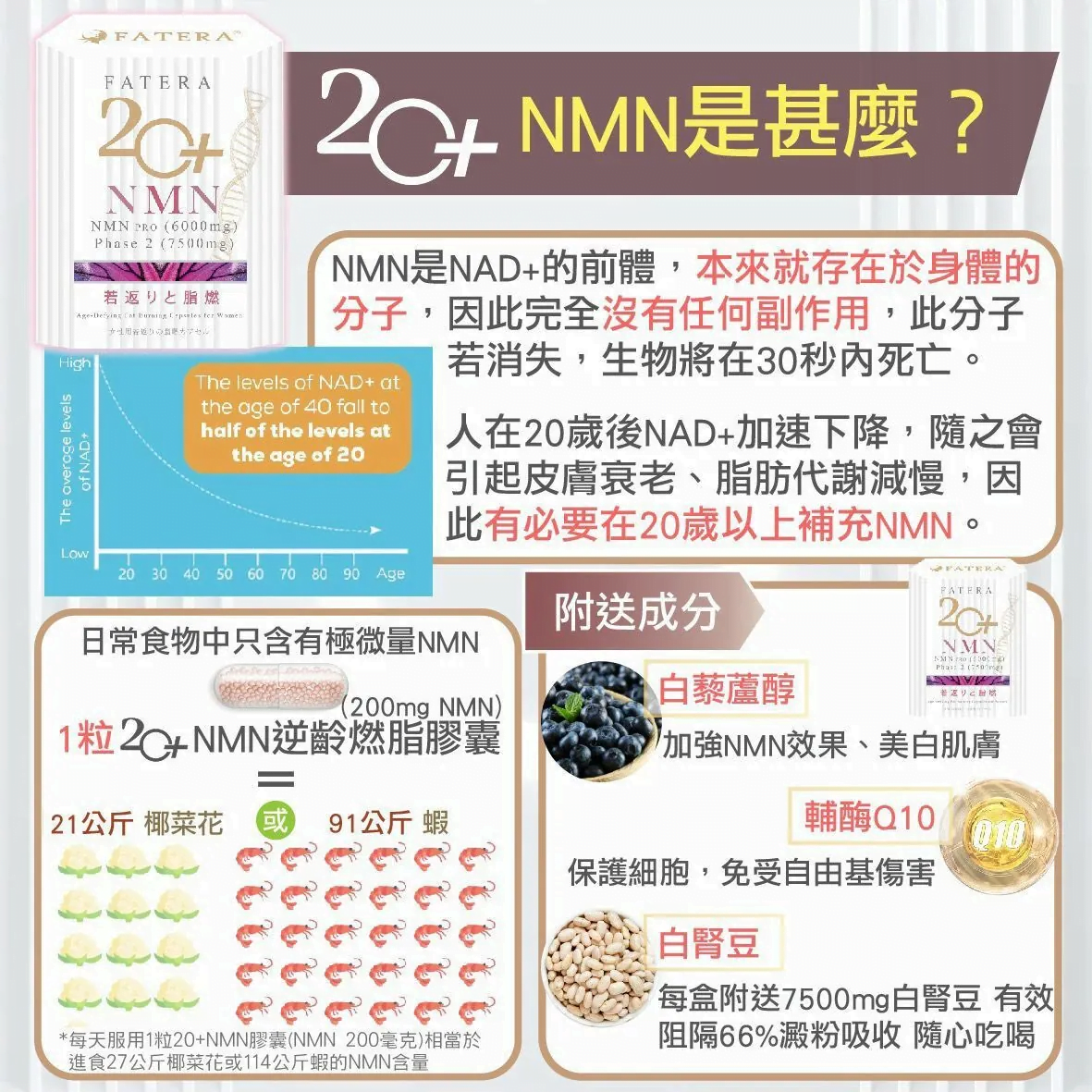【官方正版授權】日本Fatera 20+ NMN 30粒/盒 - MsSakura 專注品質生活